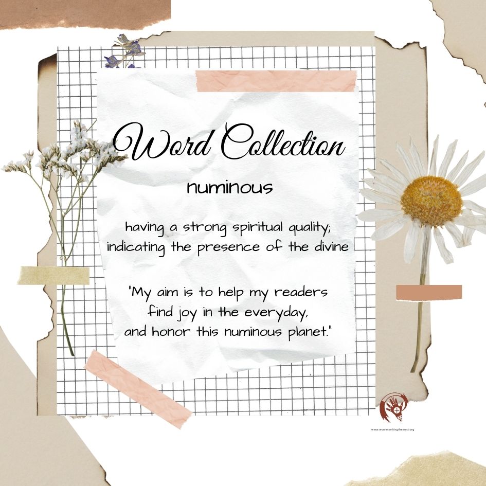Collecting Words – Blog